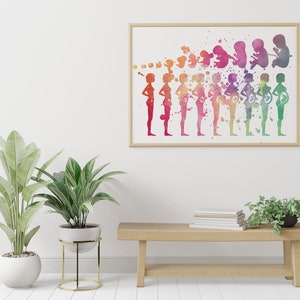 Watercolor Pregnancy Stages Poster - Gynecology Obstetrics Art OBGYN ...