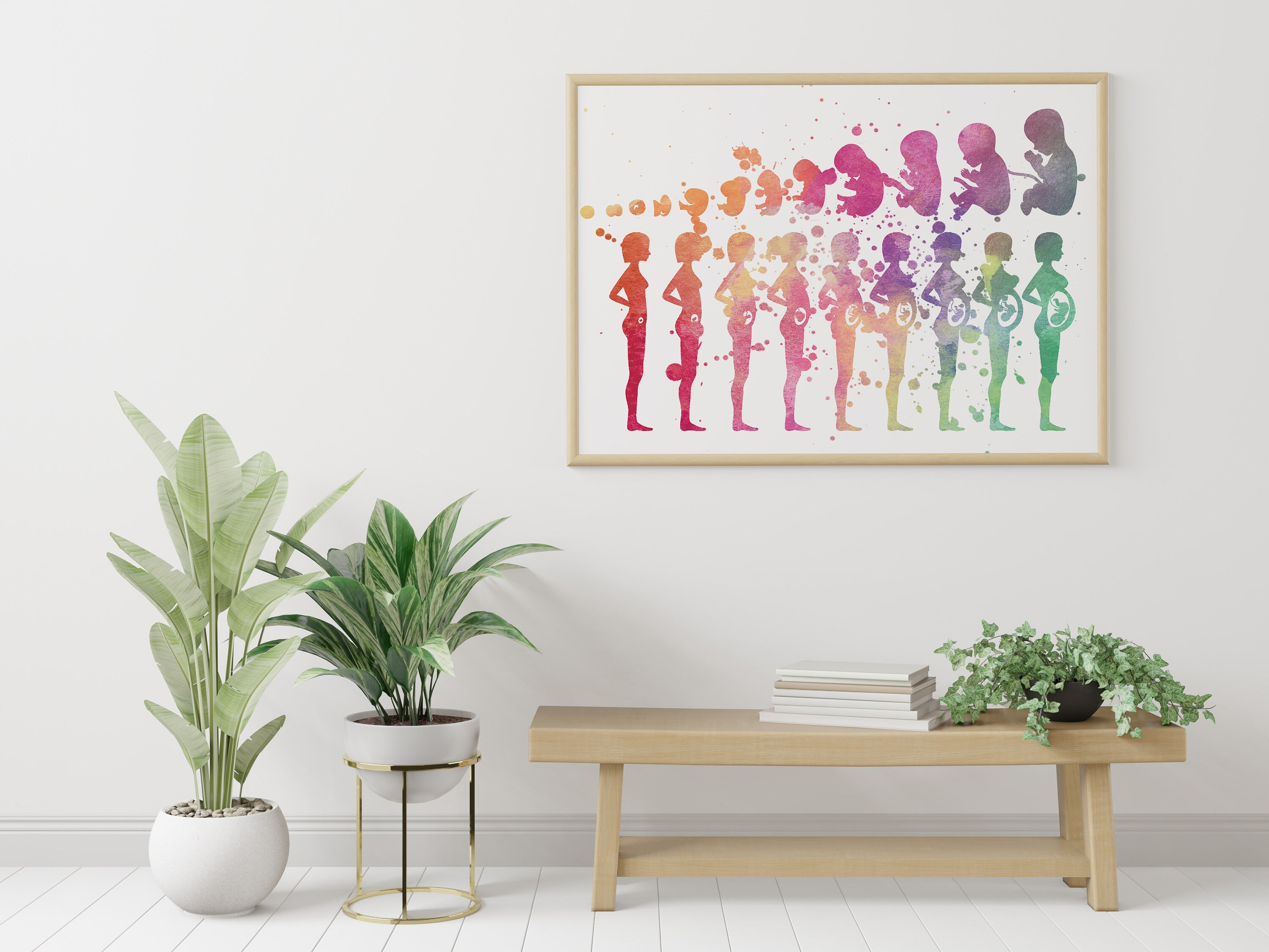 Watercolor Pregnancy Stages Poster - Gynecology Obstetrics Art OBGYN ...