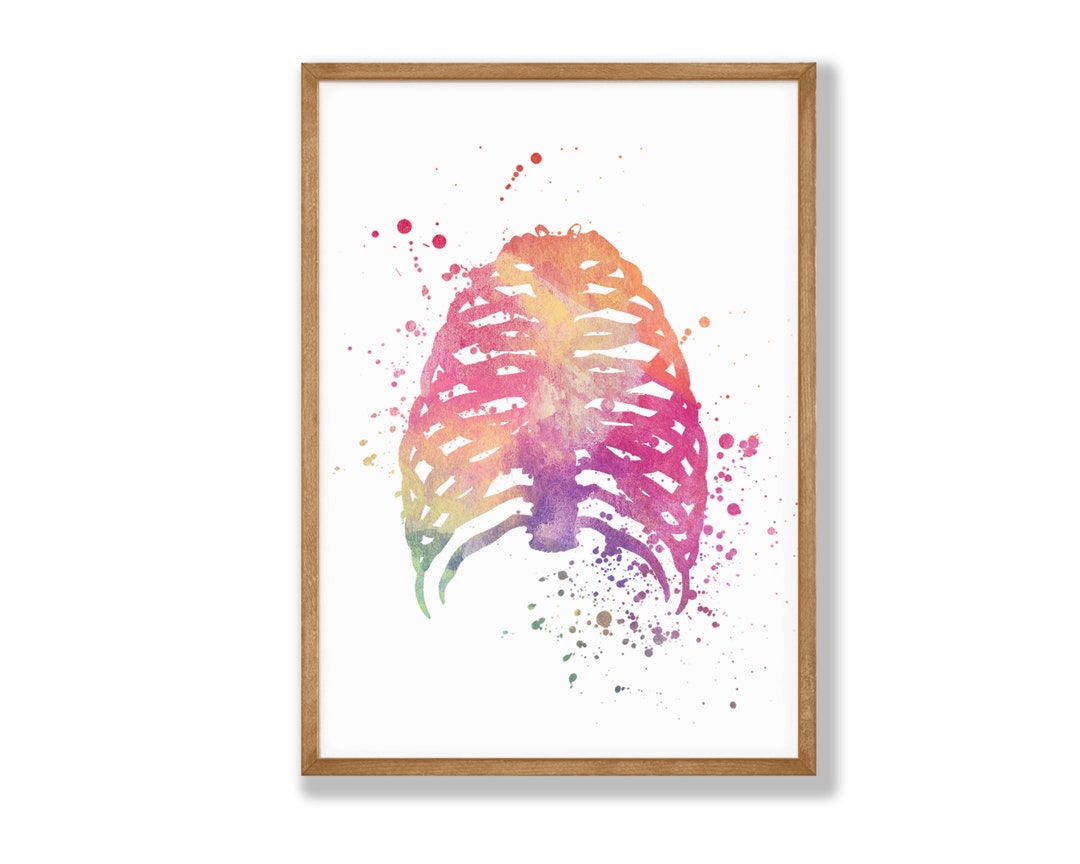 Watercolor Rib Cage Print - Human Anatomy Print, Anatomy Decor, Clinic ...