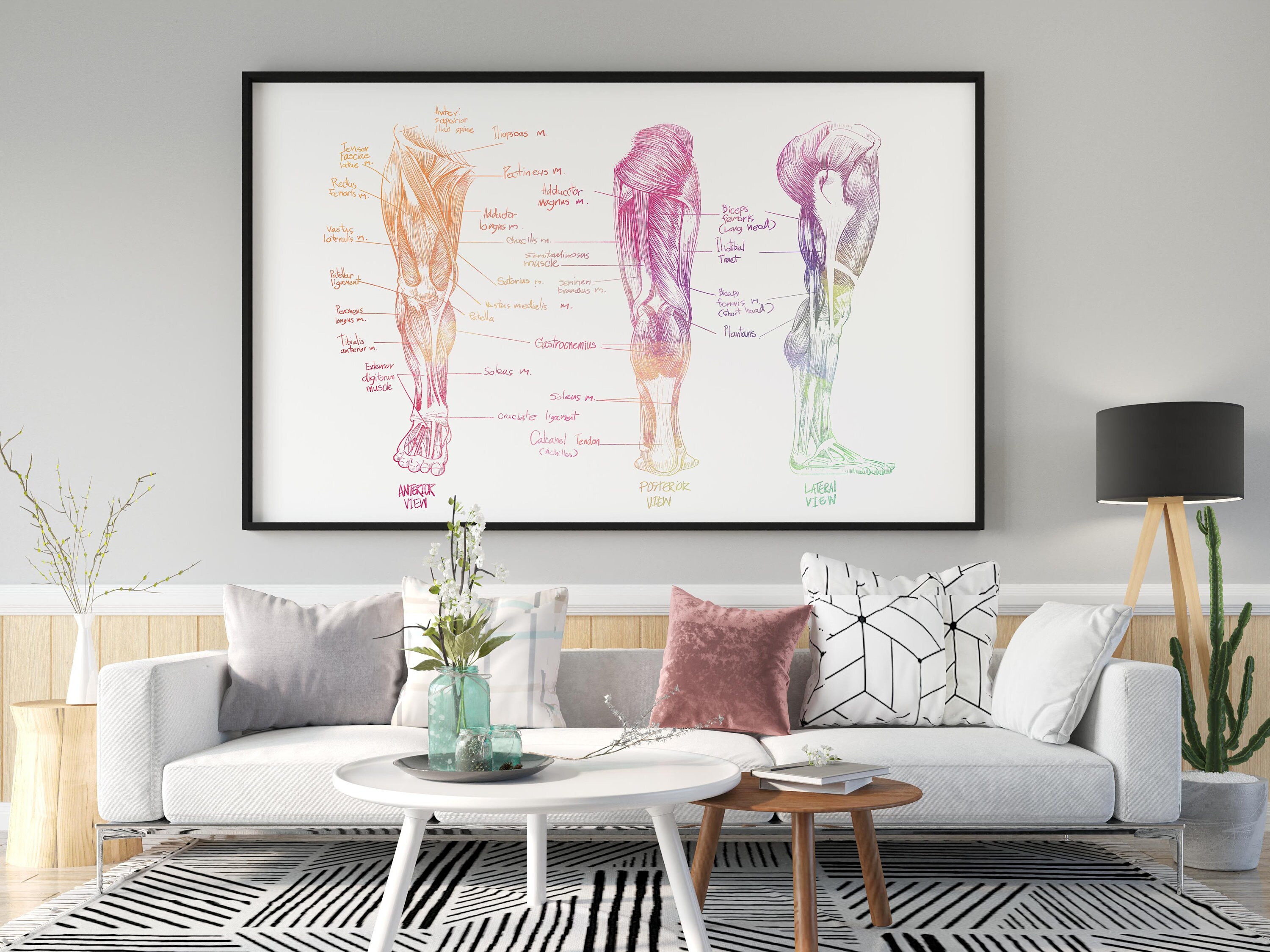 Watercolor Sketch Muscular System Poster - Human Anatomy Orthopedic ...
