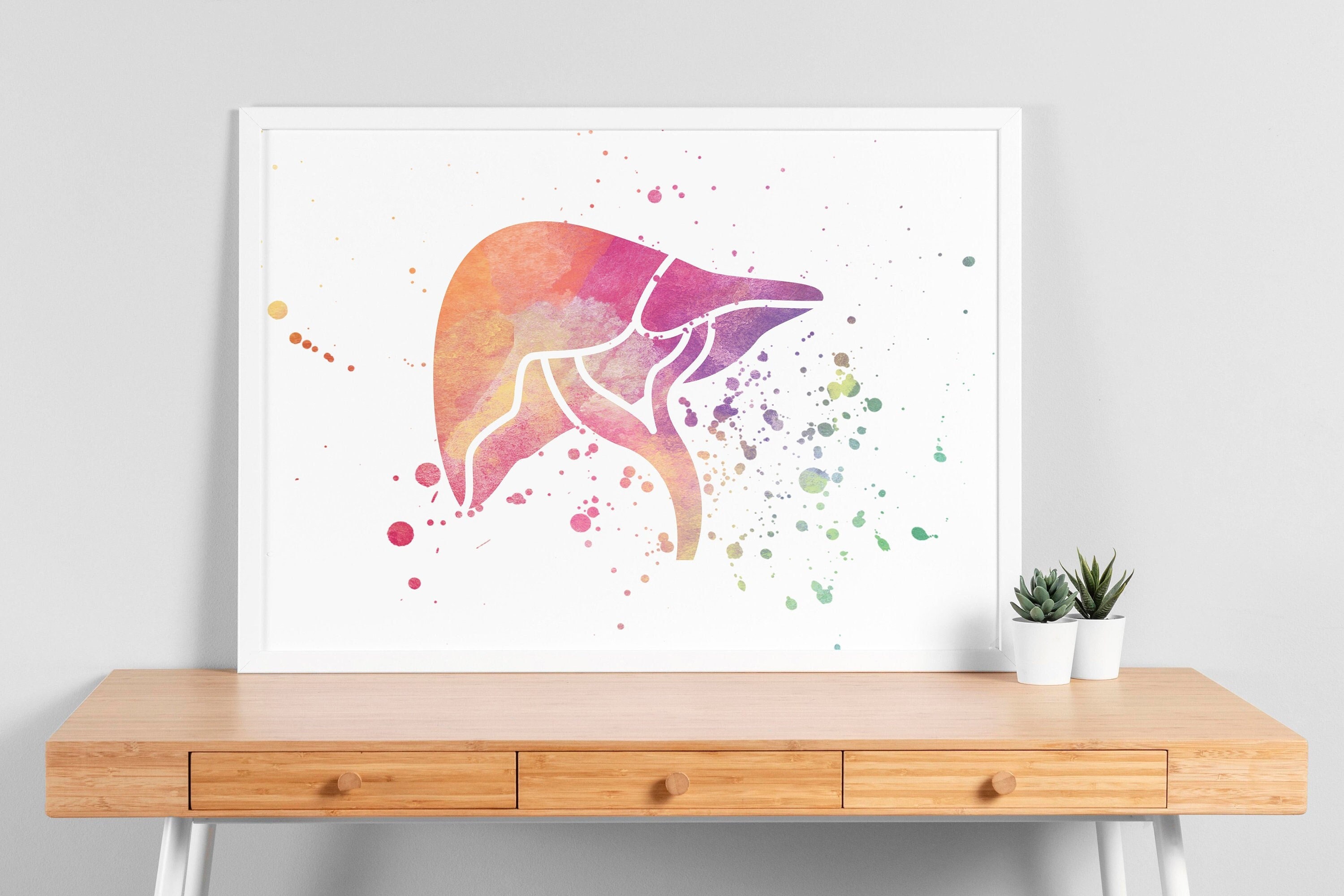 Watercolor Liver Anatomy Poster Human Anatomy Print Medical - Etsy