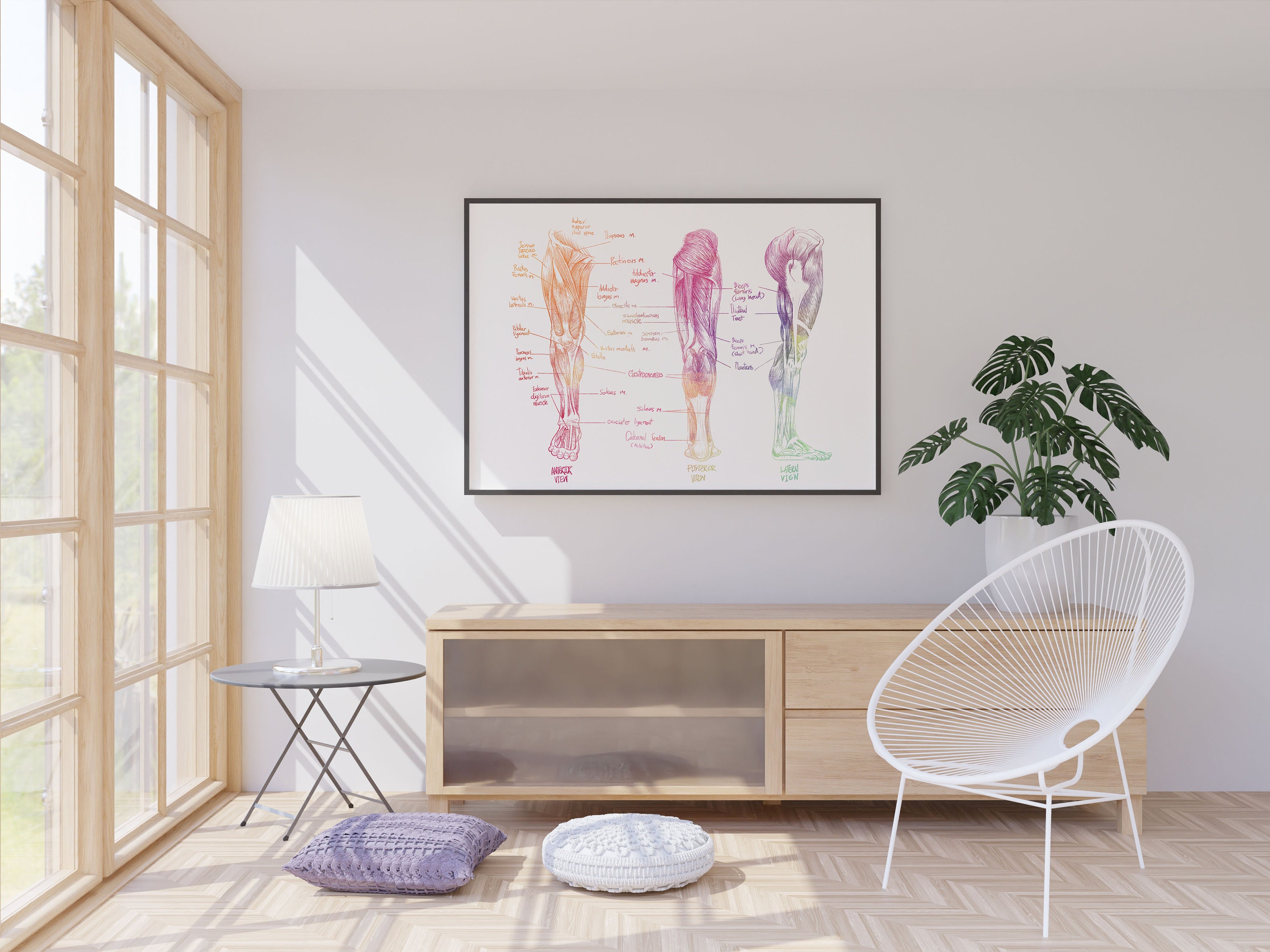 Aquarell Skizze Muskelsystem Poster Menschliche Anatomie - Etsy.de
