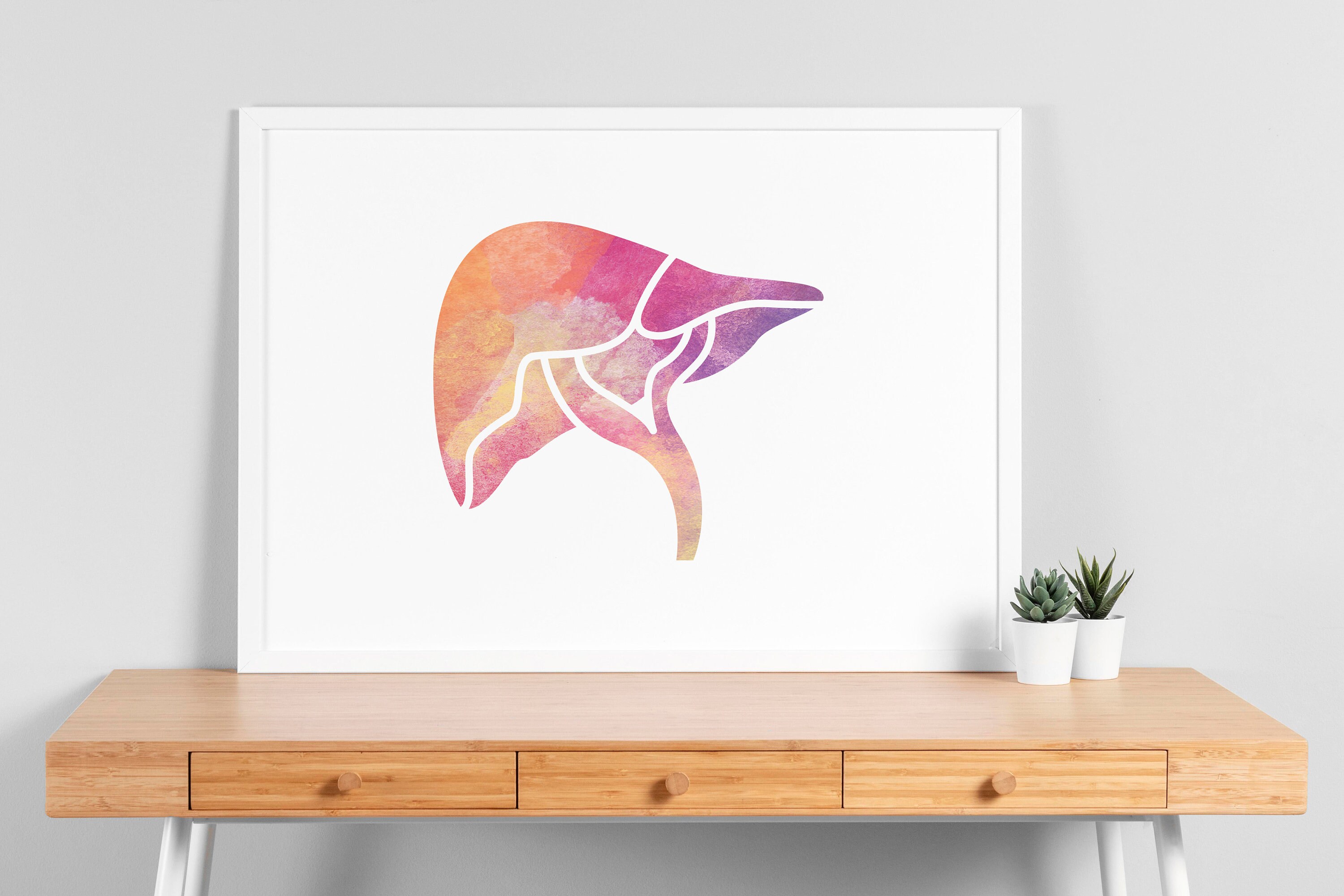 Watercolor Liver Anatomy Poster Human Anatomy Print Medical - Etsy