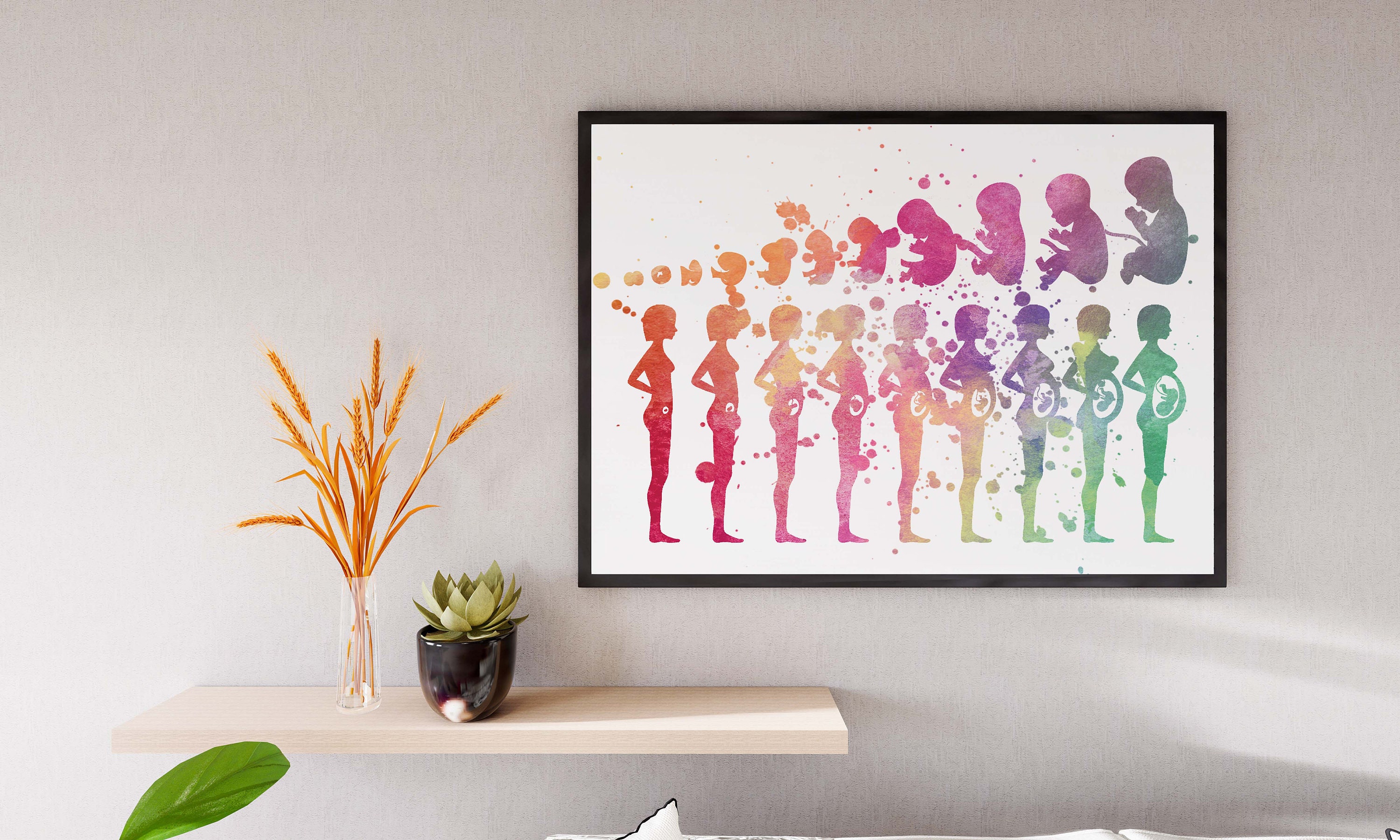 Watercolor Human Life Cycle Set of 4 Art Home Decor Pure - Etsy