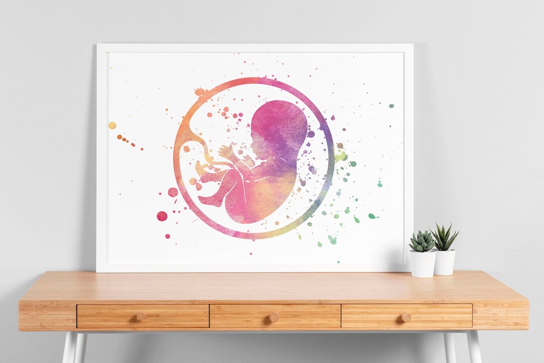 Watercolor Baby in Womb Poster, Clinic Wall Art, New Mom, OBGYN Fetus ...