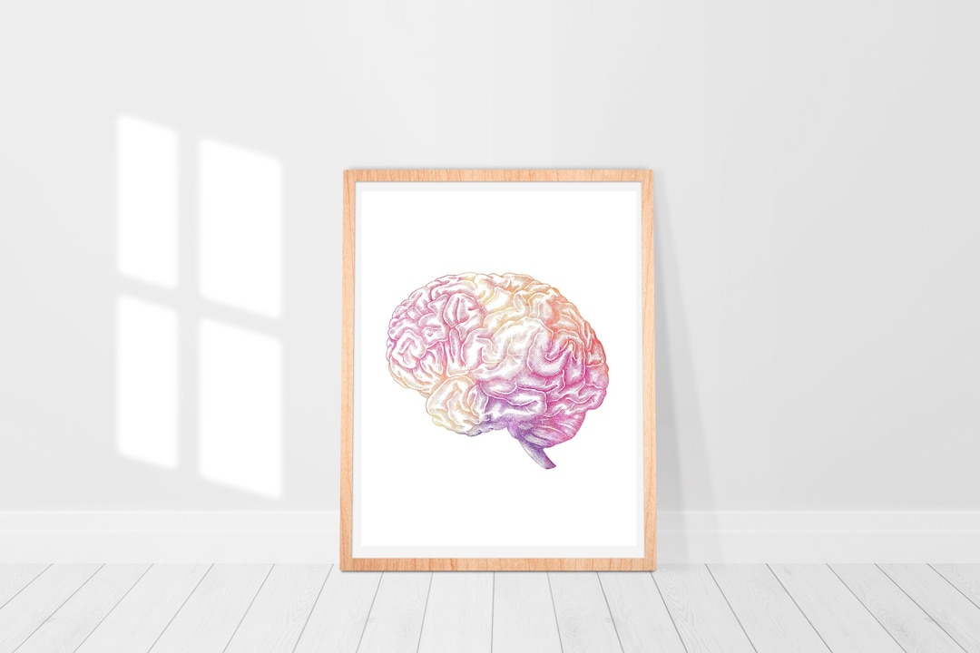 Watercolor Brain Print - Brain Wall Art, Science Art, Brain Decor ...