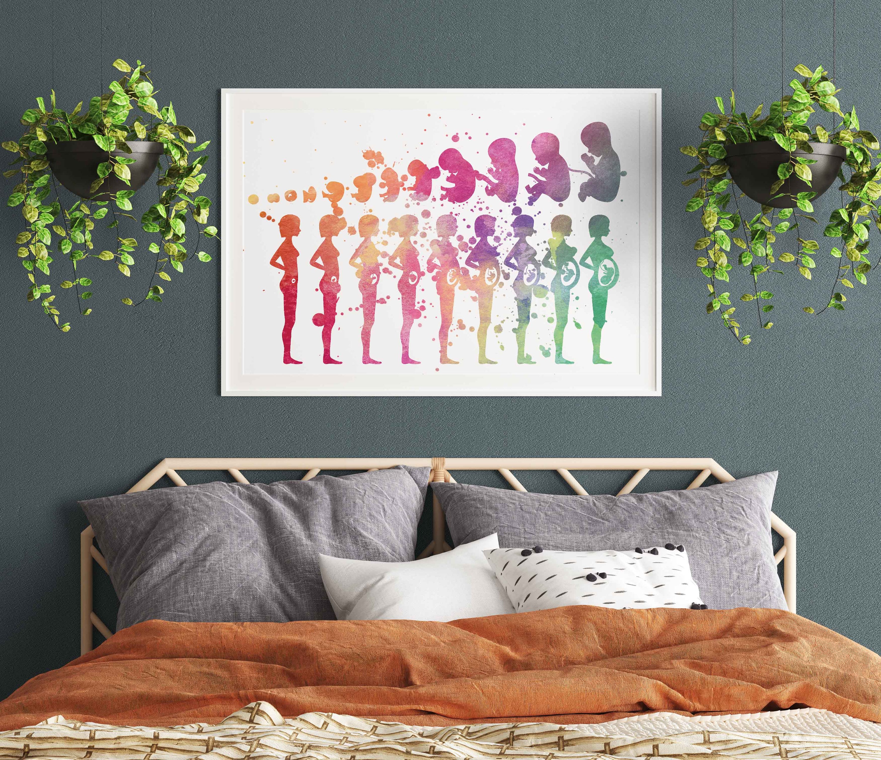Watercolor Pregnancy Stages Poster - Gynecology Obstetrics Art OBGYN ...