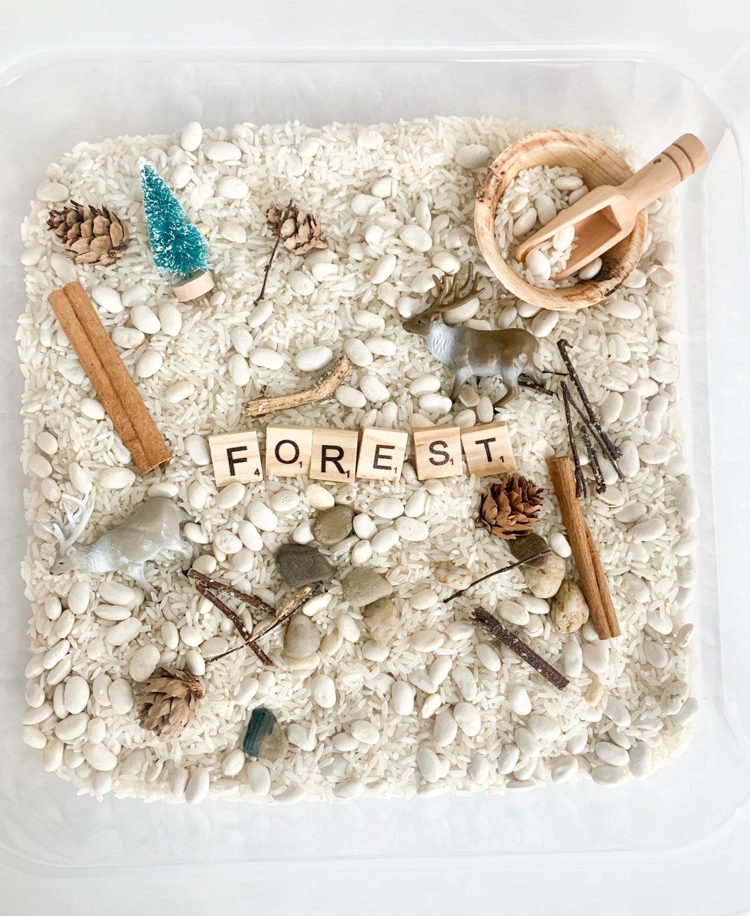 Personalized Forest Sensory Bin square Bin - Etsy
