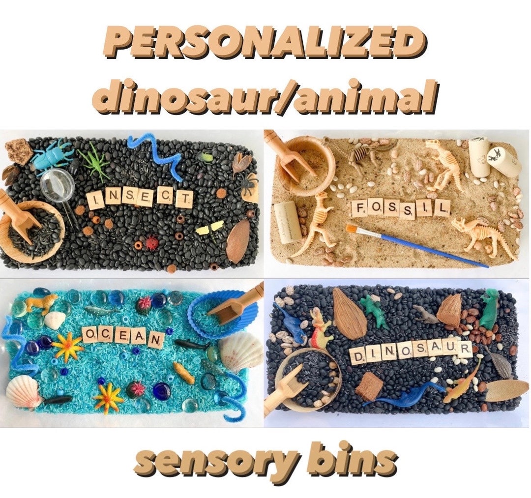 Personalized Dinosaur Dig, Ocean, Insect, Fossil Sensory Bin, at Home ...