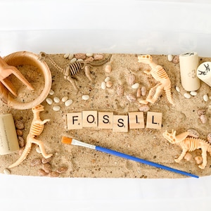 Personalized Dinosaur Dig, Ocean, Insect, Fossil Sensory Bin, at Home ...