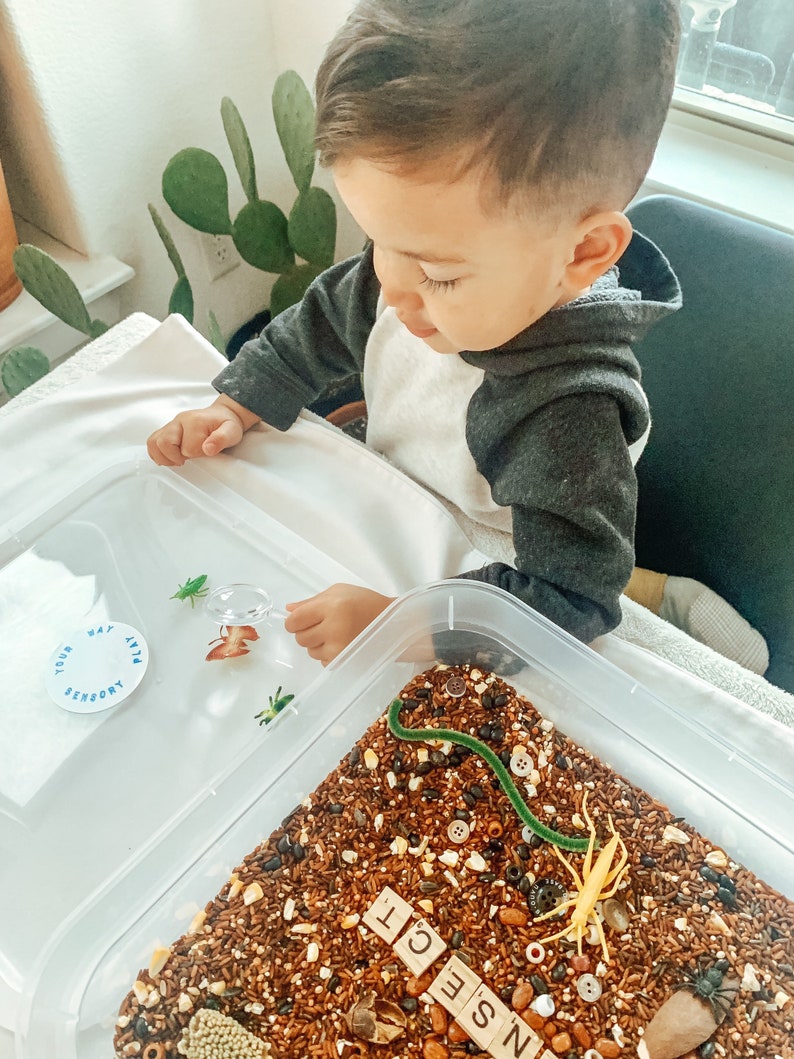 Personalized Insect Sensory Bin square Bin - Etsy