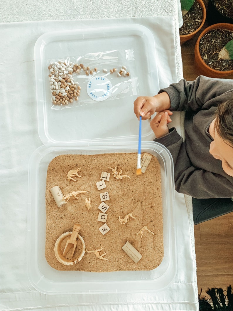 Personalized Fossil Sensory Bin square Bin - Etsy