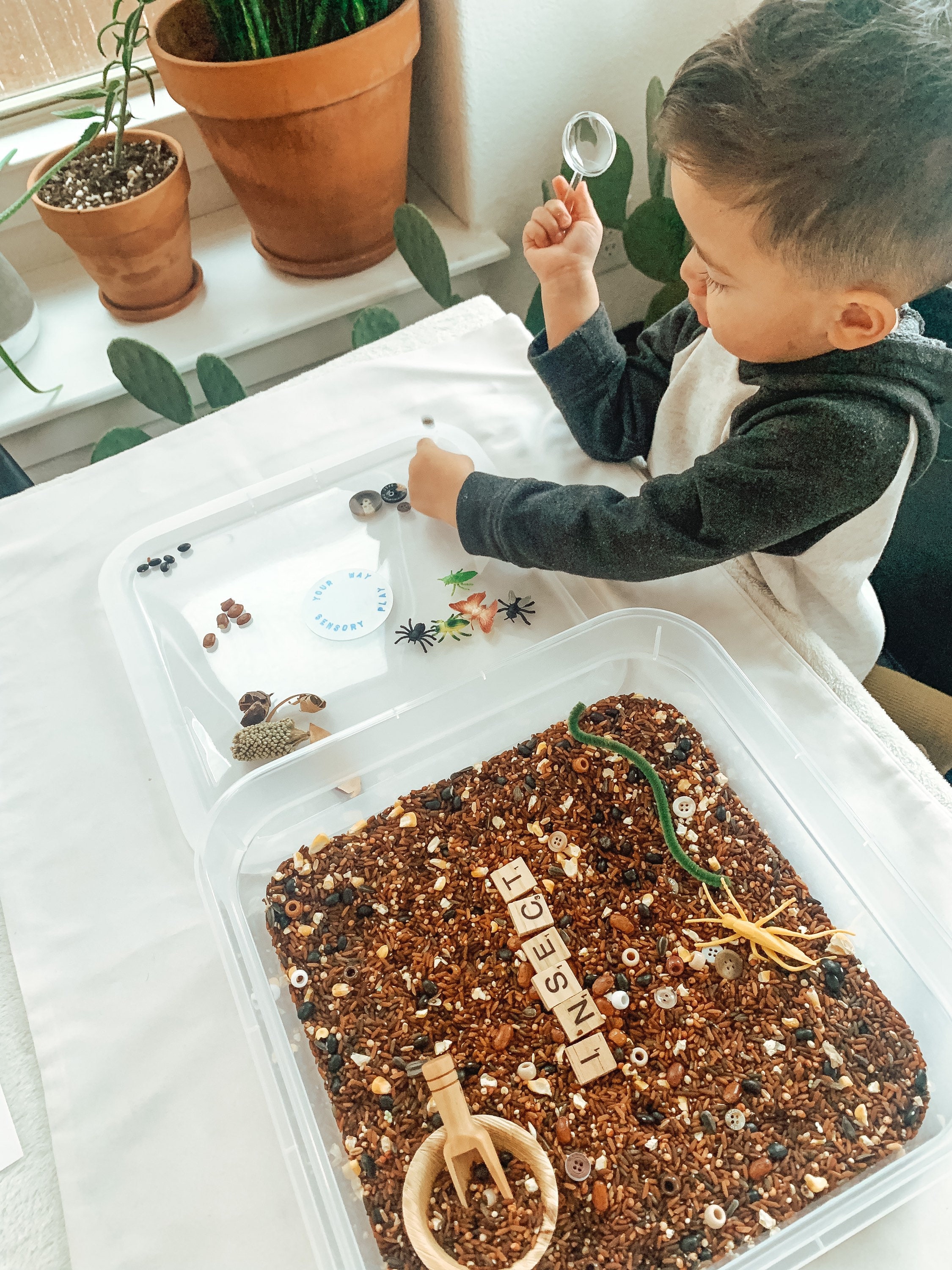 Personalized Insect Sensory Bin square Bin - Etsy