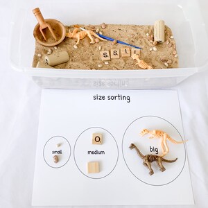 Personalized Dinosaur Dig, Ocean, Insect, Fossil Sensory Bin, at Home ...