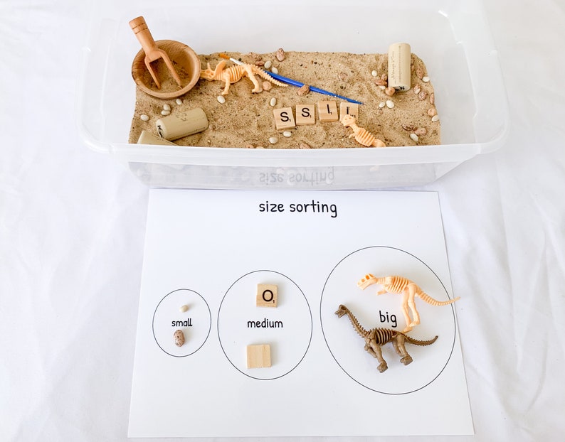 Personalized Dinosaur Dig, Ocean, Insect, Fossil Sensory Bin, at Home ...