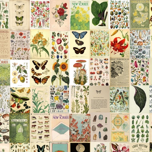 115 Pcs Botanical Poster Wall Collage Kit Vintage Poster Etsy