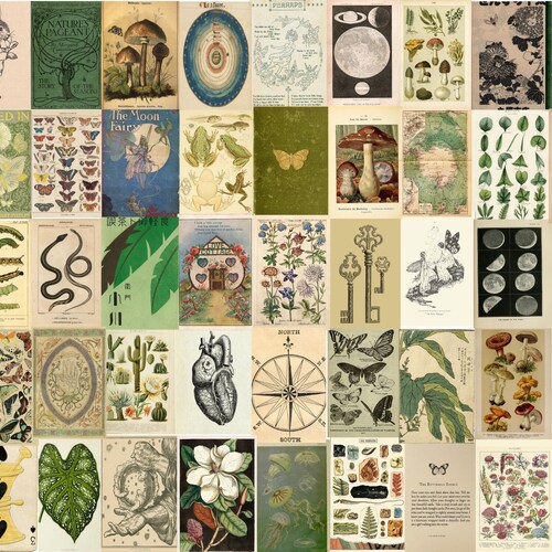 100 Pcs Cottagecore Wall Collage Kit Fairycore Aesthetic Etsy