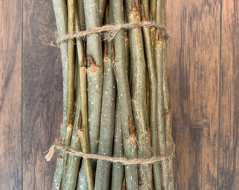 10 Hybrid Poplar Cuttings Op367 - Etsy