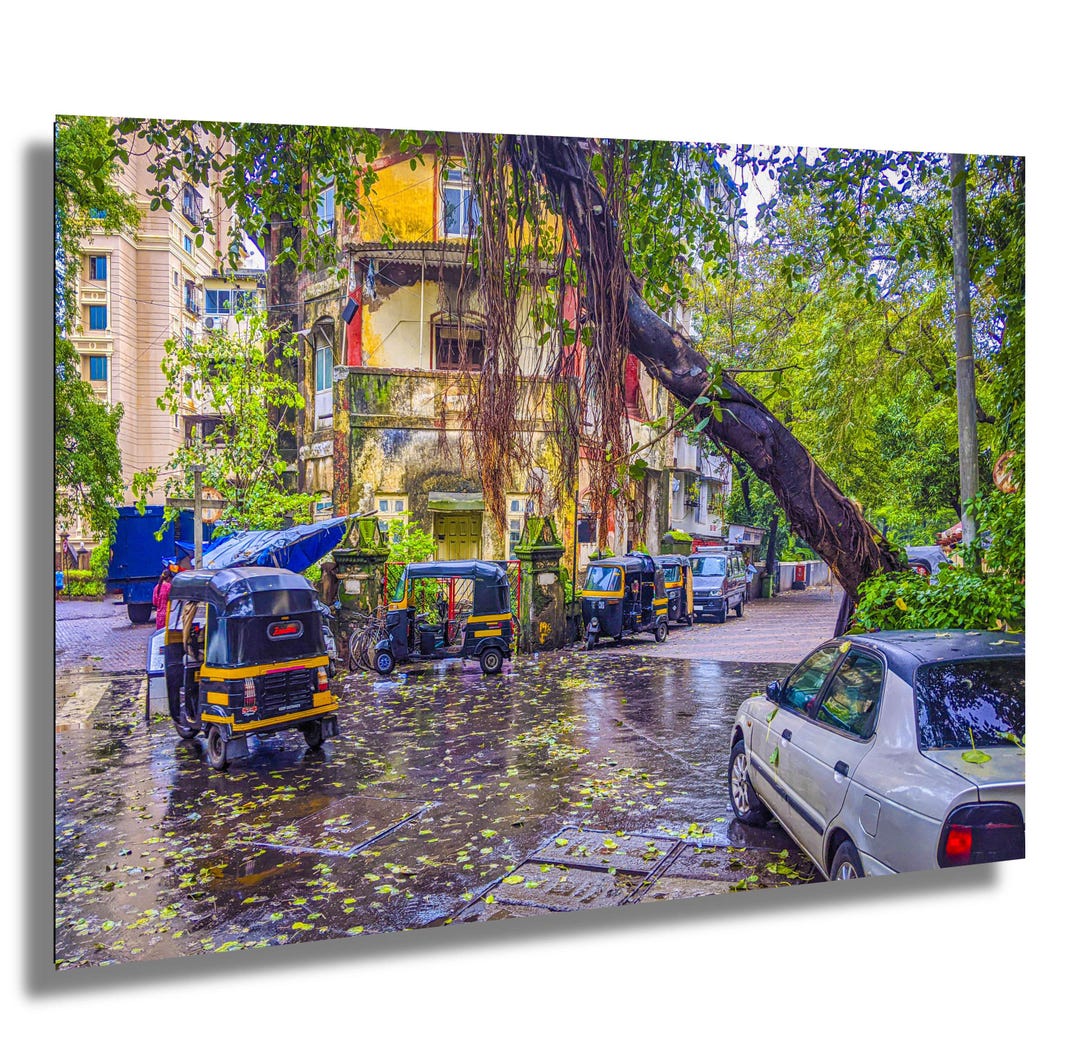 Mumbai India Street Scene Wall Art | Auto Rickshaws (tuk Tuks) and Tree ...