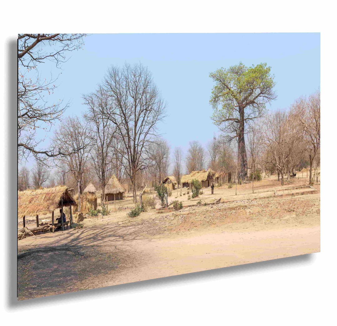African Village Scene With Baobab Tree and Huts Photo Print | Rural ...