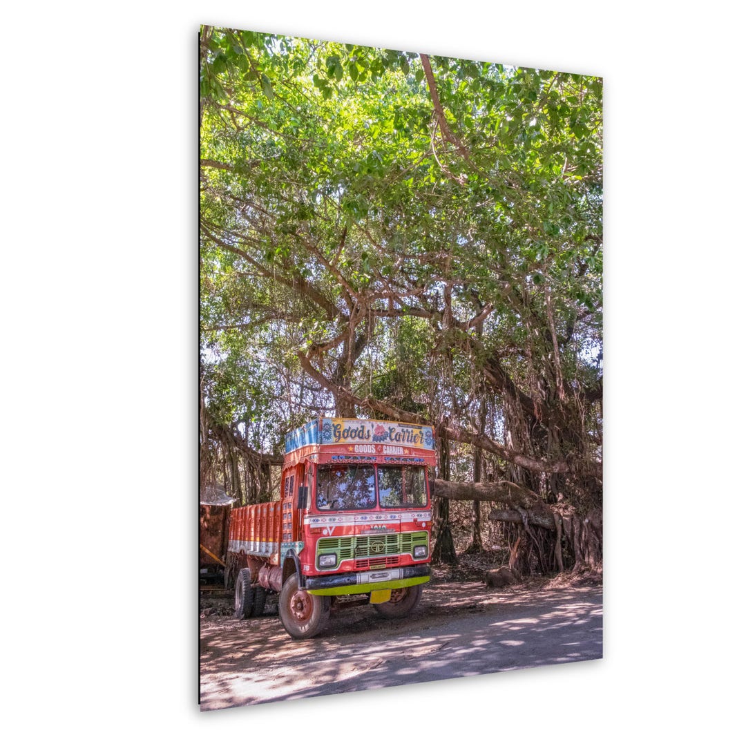 Colorful Indian Truck Under Banyan Tree – Vintage Lorry Photography ...
