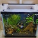 Nicrew Skyled Light Stand (2” Wide Base) LED Riser, Fish Tank Light ...