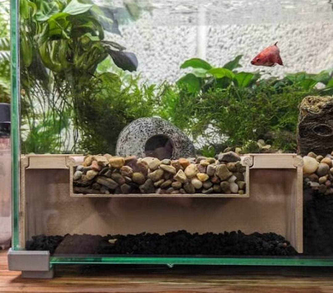 Shrimp and Fish Cave With Removable Grates - Etsy