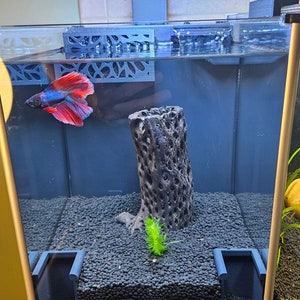 Shrimp and Fish Cave With Removable Grates - Etsy