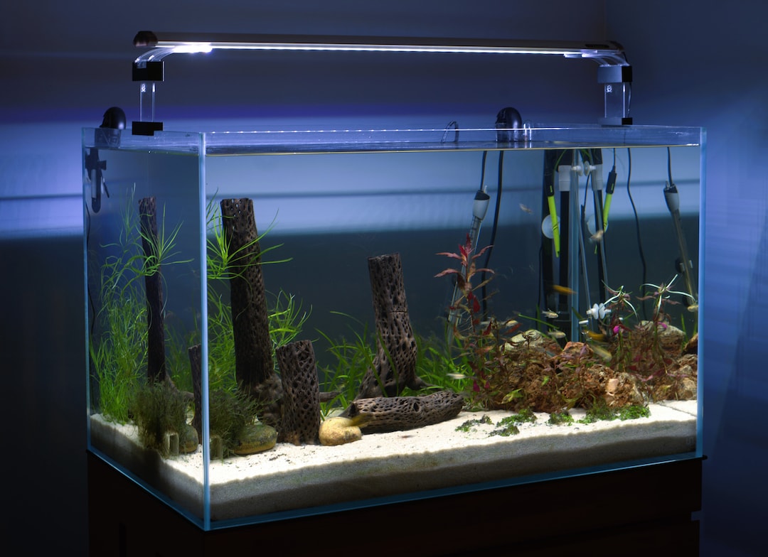 Finnex Stingray Original LED Light Riser, Attractive Stable Elevated ...