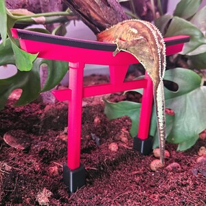 Torii Gate Reptile Decor • Japanese Asian Themed Gecko Accessory • 3D ...