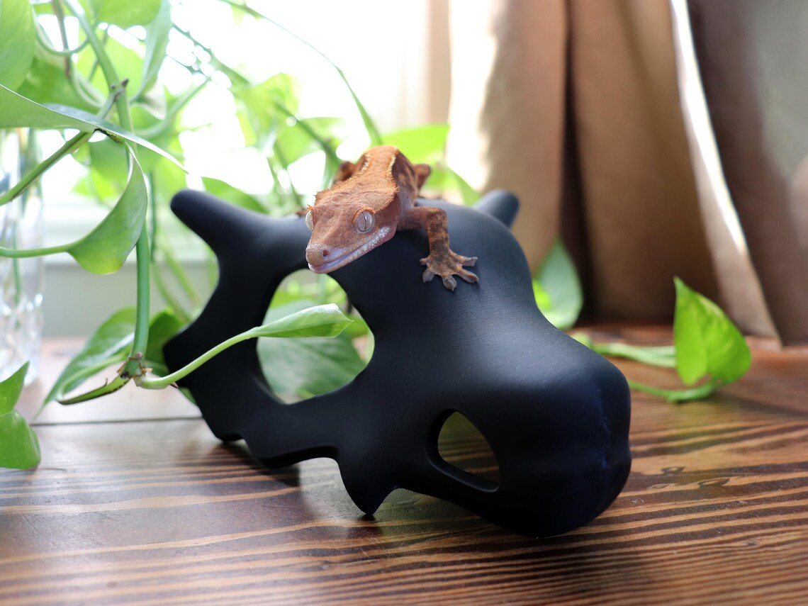 Cubone Skull Reptile Hide • Gaming Inspired Small Animal Enclosure ...