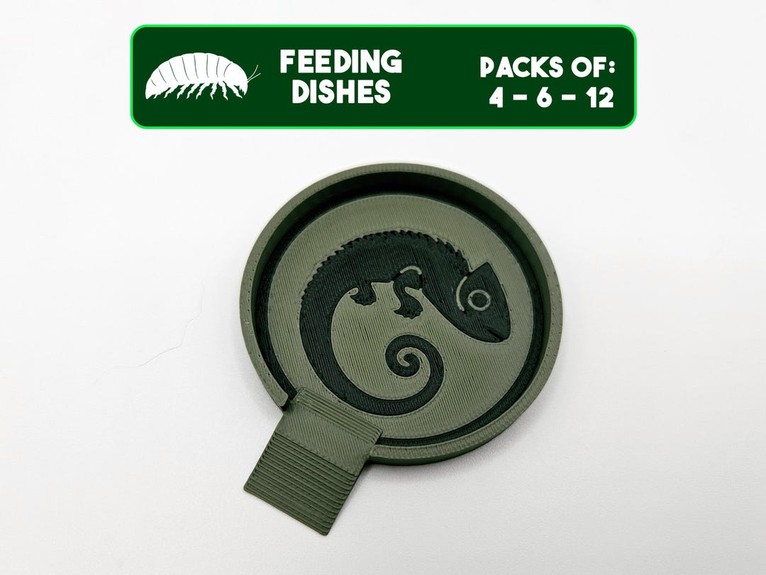 Chameleon Isopods Feeding Dish Pack, Cute Lizard Insect Food Bowl ...