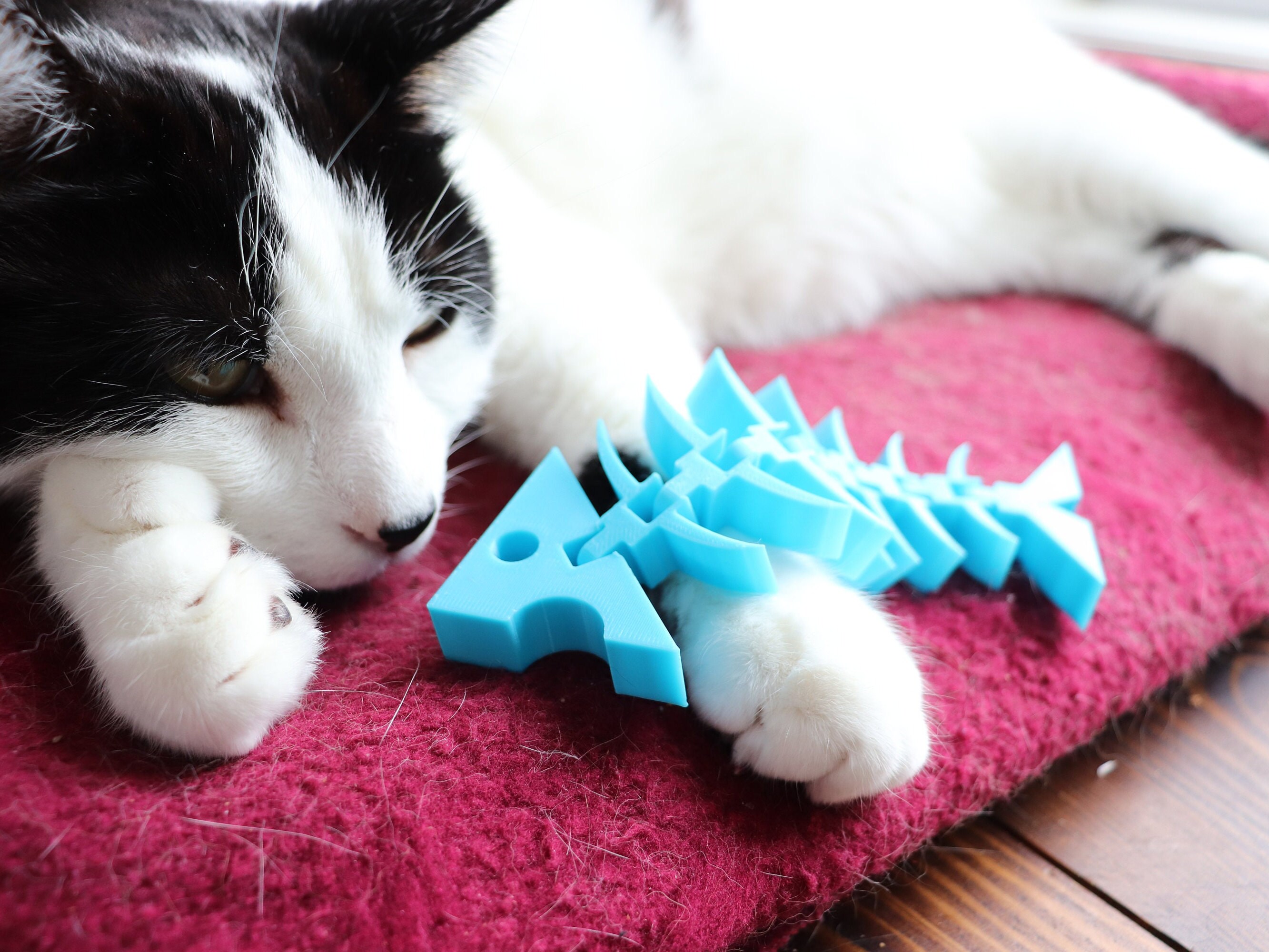 Fidget Flexi Fish Skeleton Sensory Articulated Cute Animal Toy 3d ...