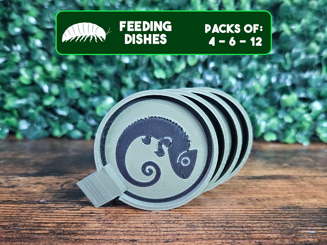 Chameleon Isopod Feeding Dish, Lizard Insect Food Bowl, Bioactive Bug ...