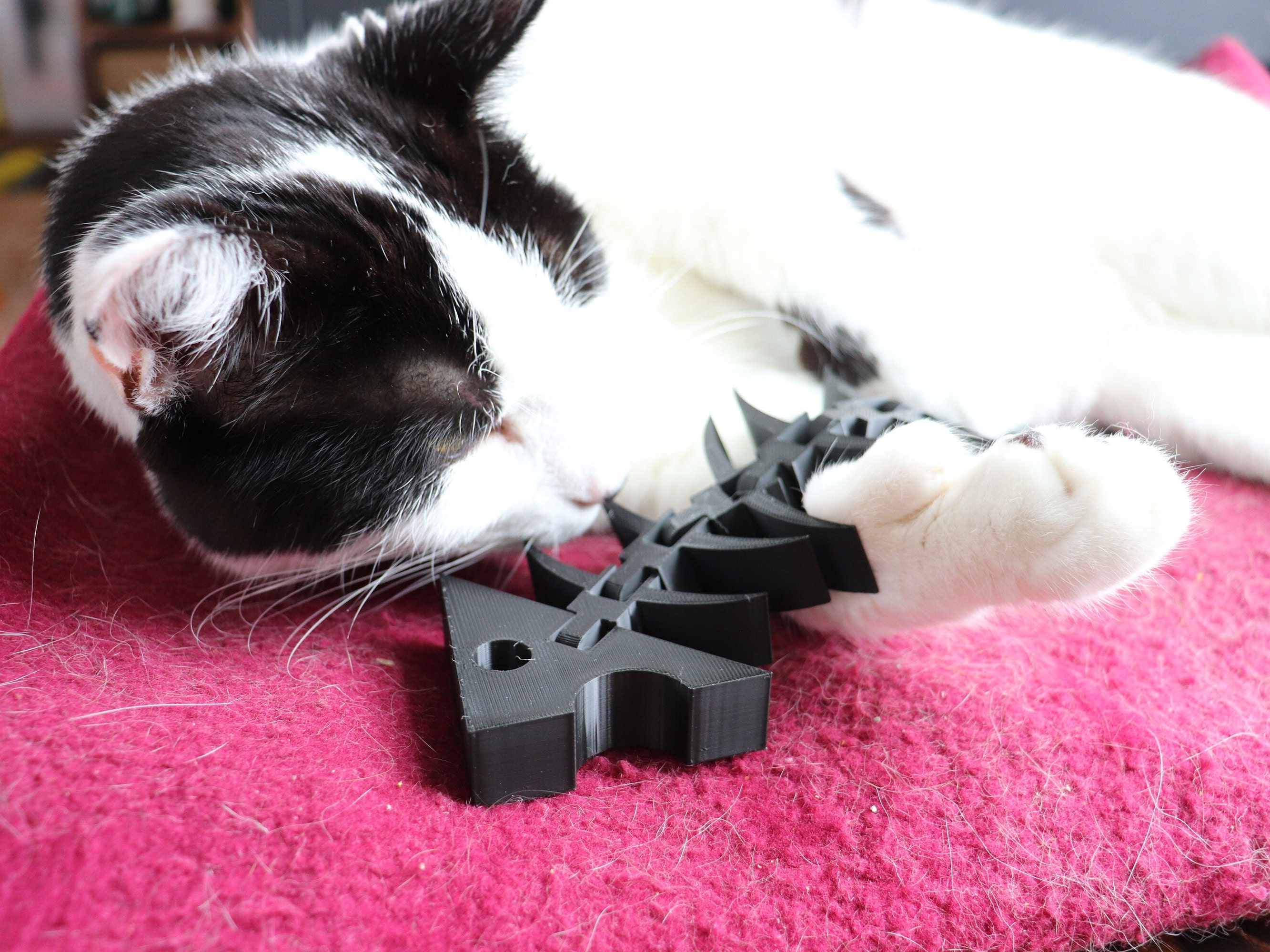 Fidget Flexi Fish Skeleton Sensory Articulated Cute Animal Toy 3d ...