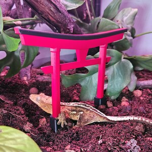 Torii Gate Reptile Decor • Japanese Asian Themed Gecko Accessory • 3D ...