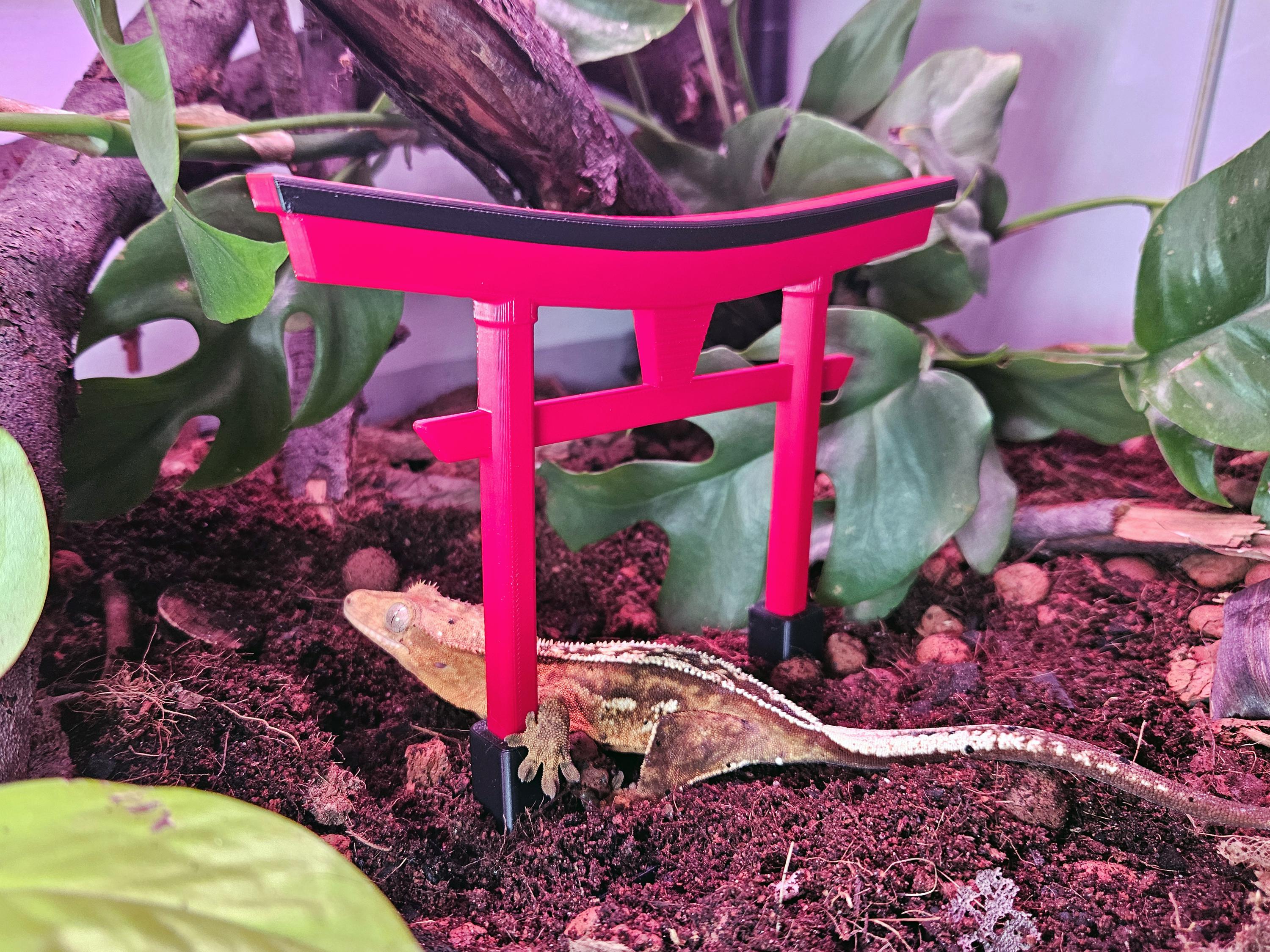Torii Gate Reptile Decor • Japanese Asian Themed Gecko Accessory • 3D ...
