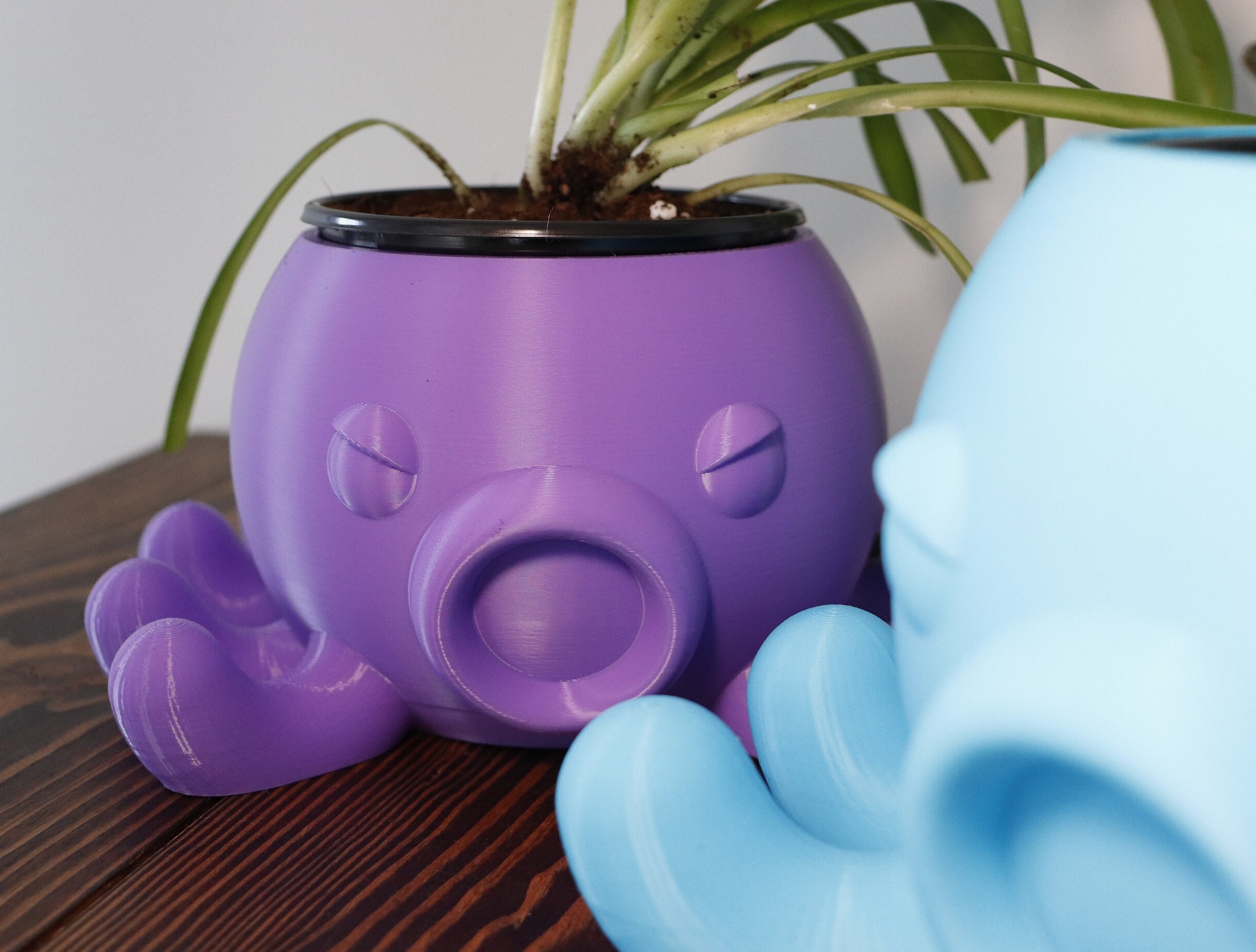 Octopus Planter Pot Small Indoor Water Themed Flower Vase 3d Printed ...