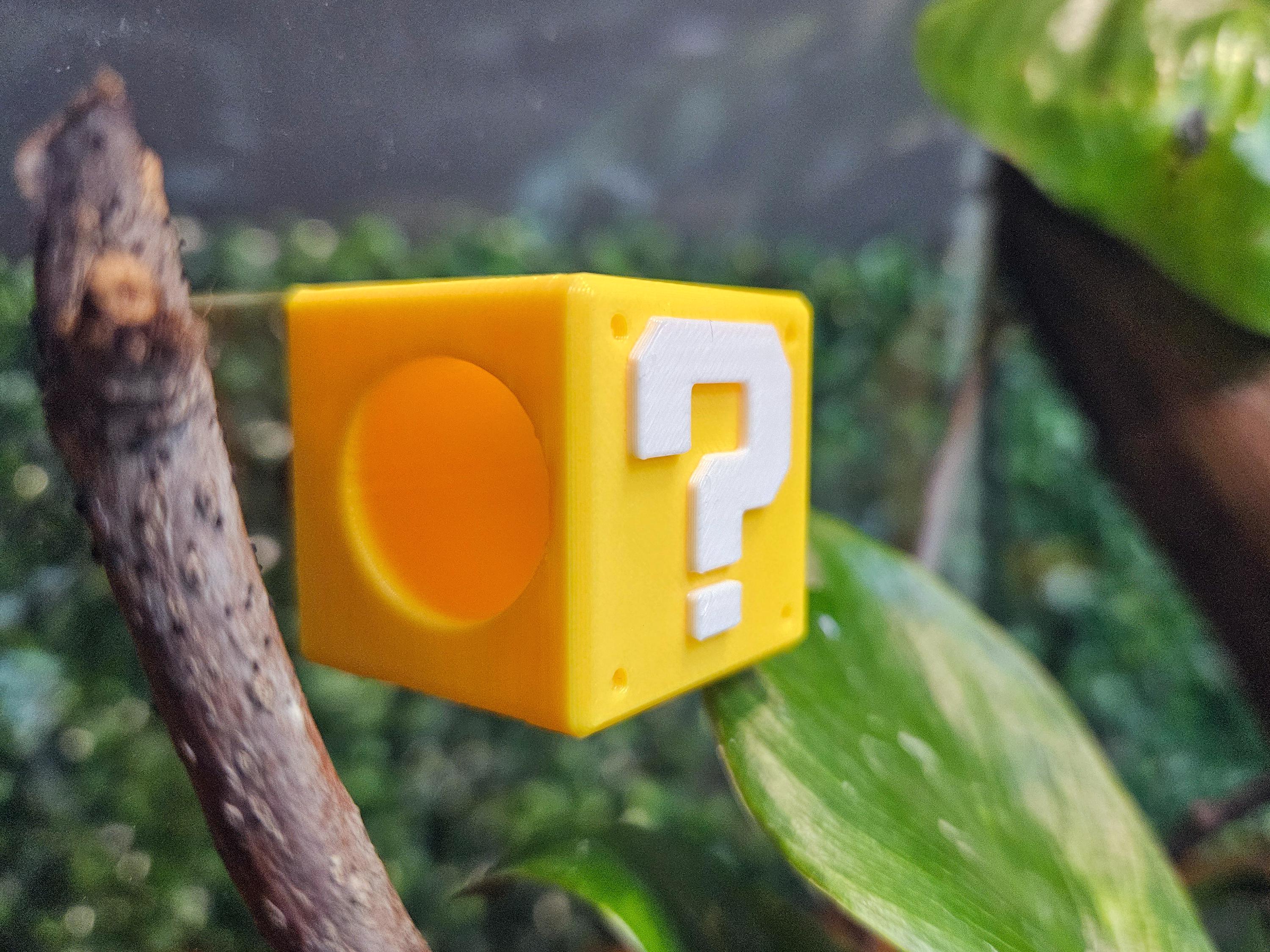 Retro Gaming Question Block Jumping Spider Hide • Popular Video Game ...