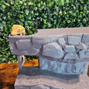 3D Printed Stone Terrarium Background Ledges | Reptiles and Amphibians ...