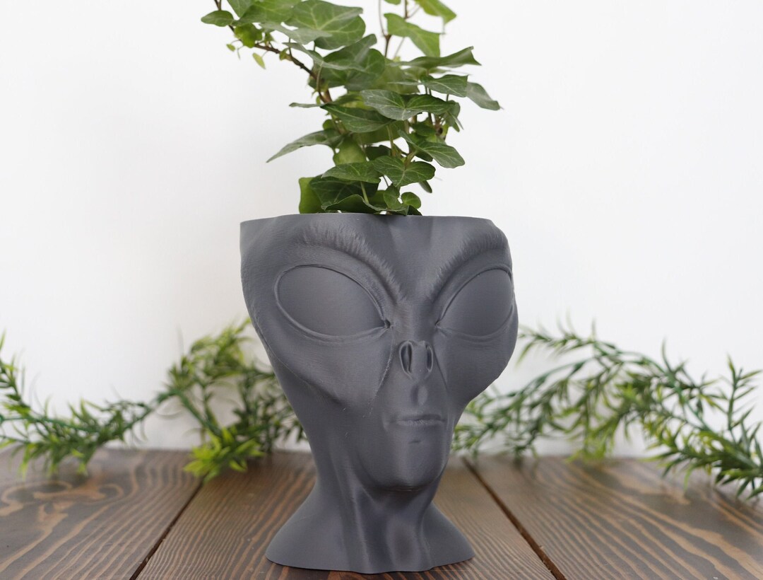 Indoor Alien Planter • Extraterrestrial Martian Flower Pot • 3d Printed ...