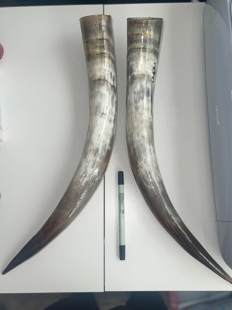 Drinking Horn, Traditional Drinking Horn, Viking Drinking Horn, Mead ...