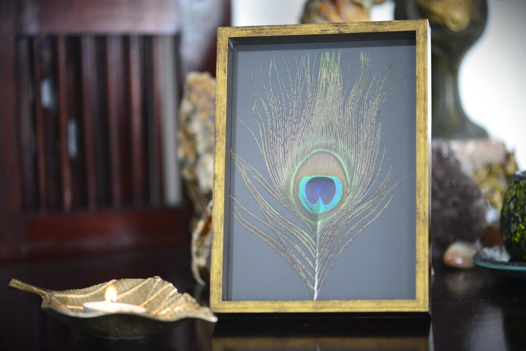 Bronze Colored Peacock Feather Frame, Curiosities Decoration, Feather ...