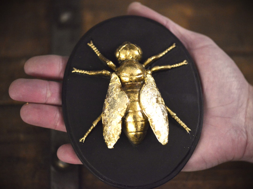 Insect Decoration Applique Bee Curiosities - Etsy