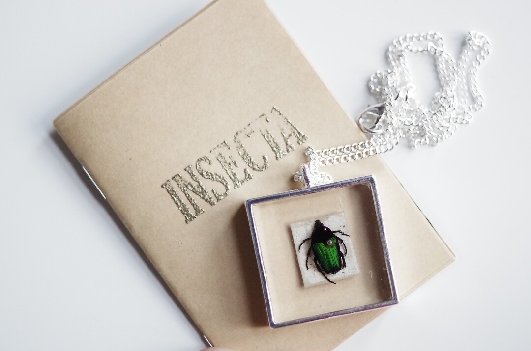 Small Beetle Necklace, Iridescent Beetle, Antique Necklace, Unique ...