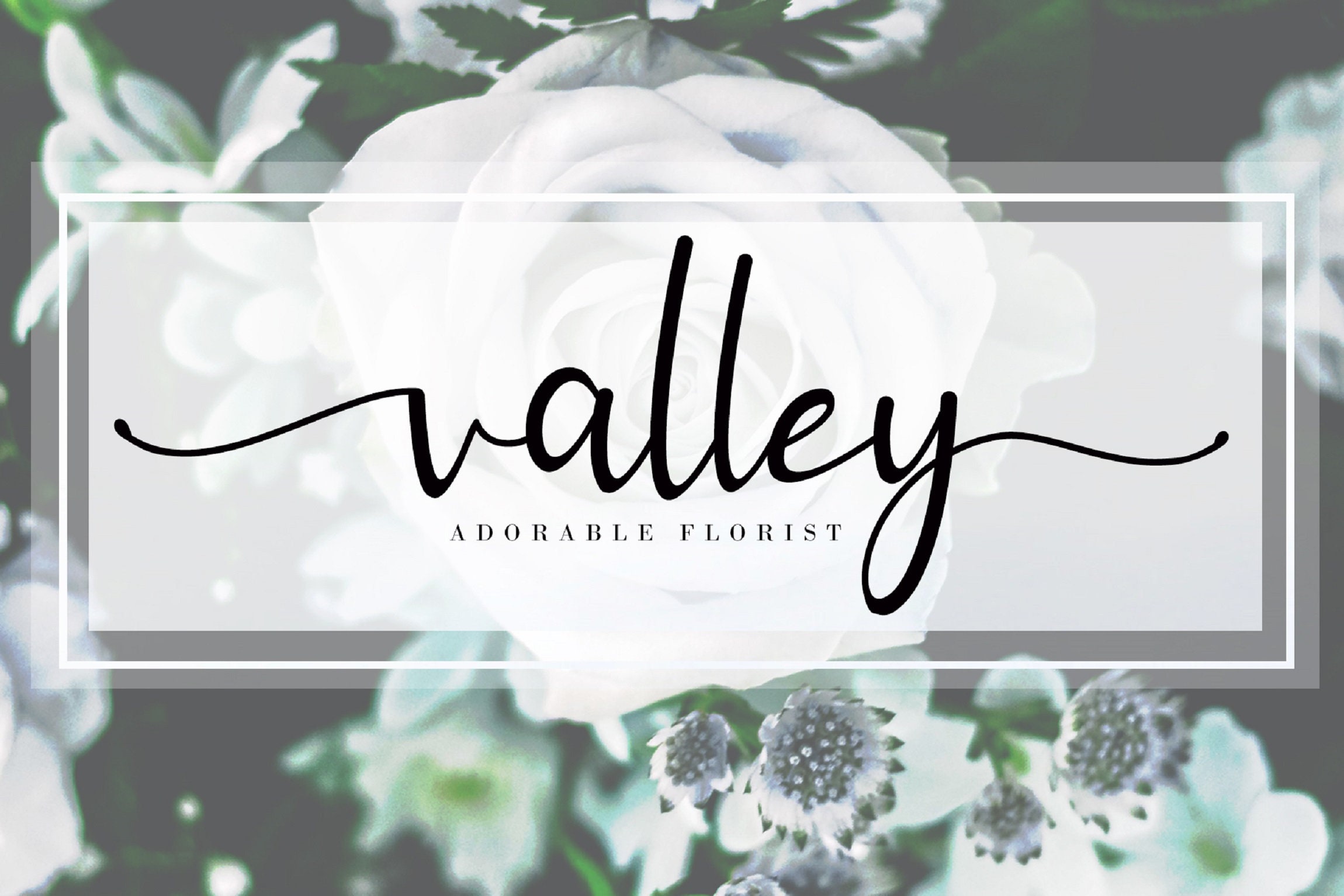 Lovely Script Font Bundle - 10 Wedding & Crafting Fonts - Etsy