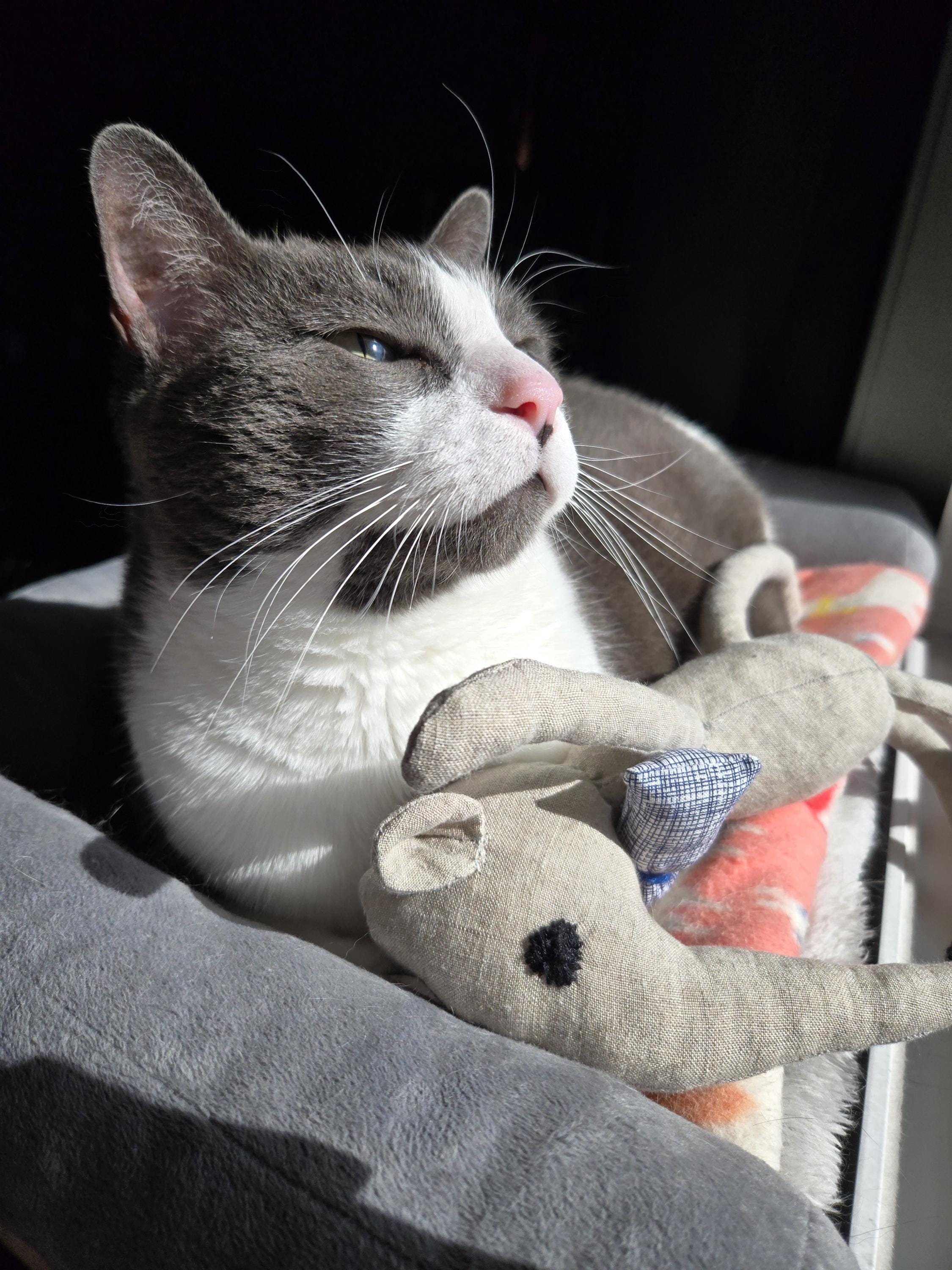 Rat Stuffed Animal Sewing Pattern - Pet and Baby Friendly Stuffed ...