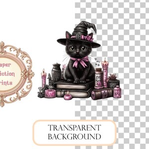 Pink and Black Halloween Clipart Bundle | 50 Transparent PNG Images ...