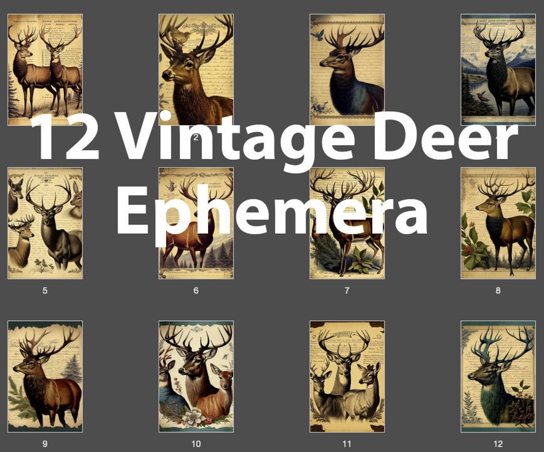 Vintage Deer Ephemera - Perfect for Journals and Scrapbooking - Digital ...