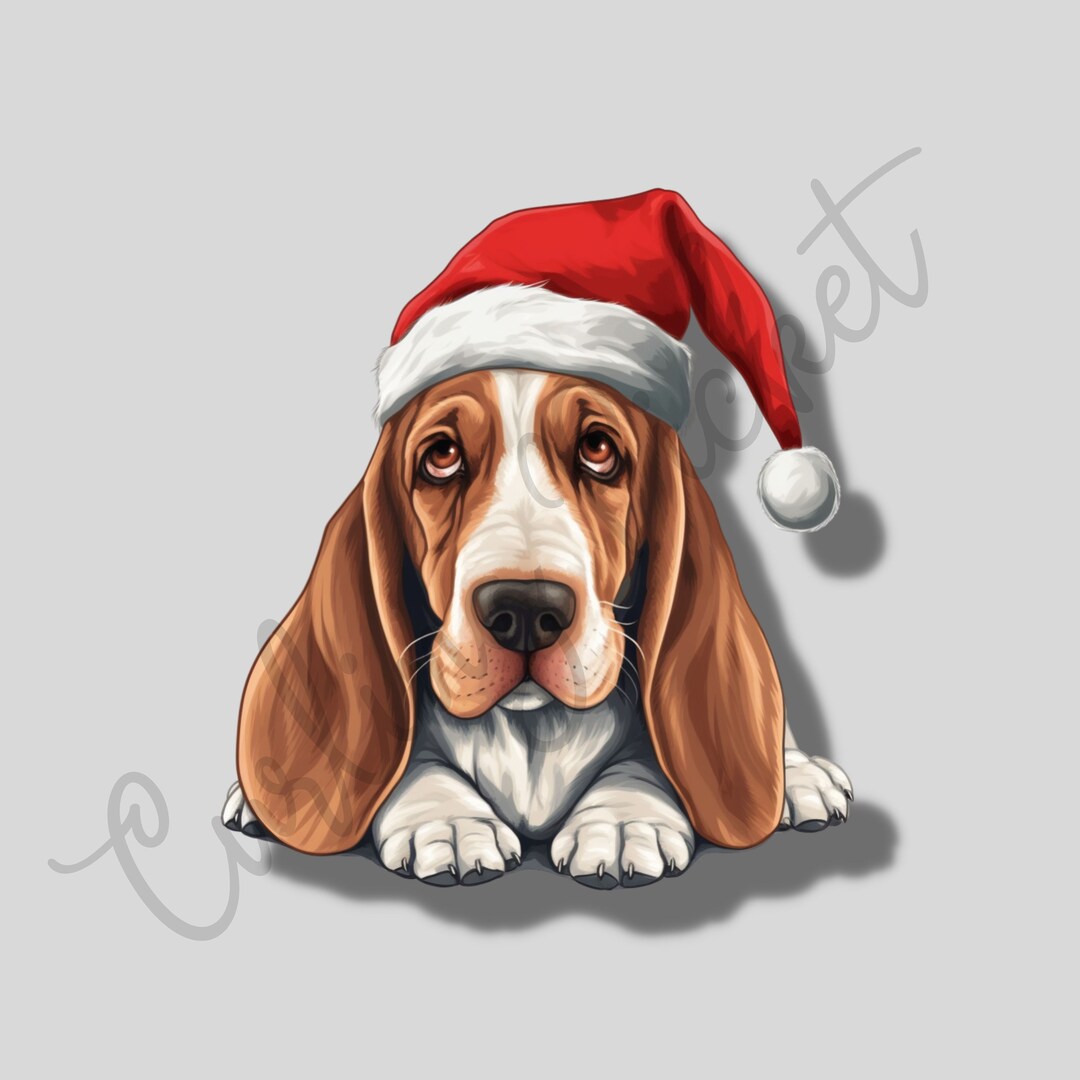 Christmas Basset Hound Wearing a Santa Hat Cute Funny Transparent PNG ...